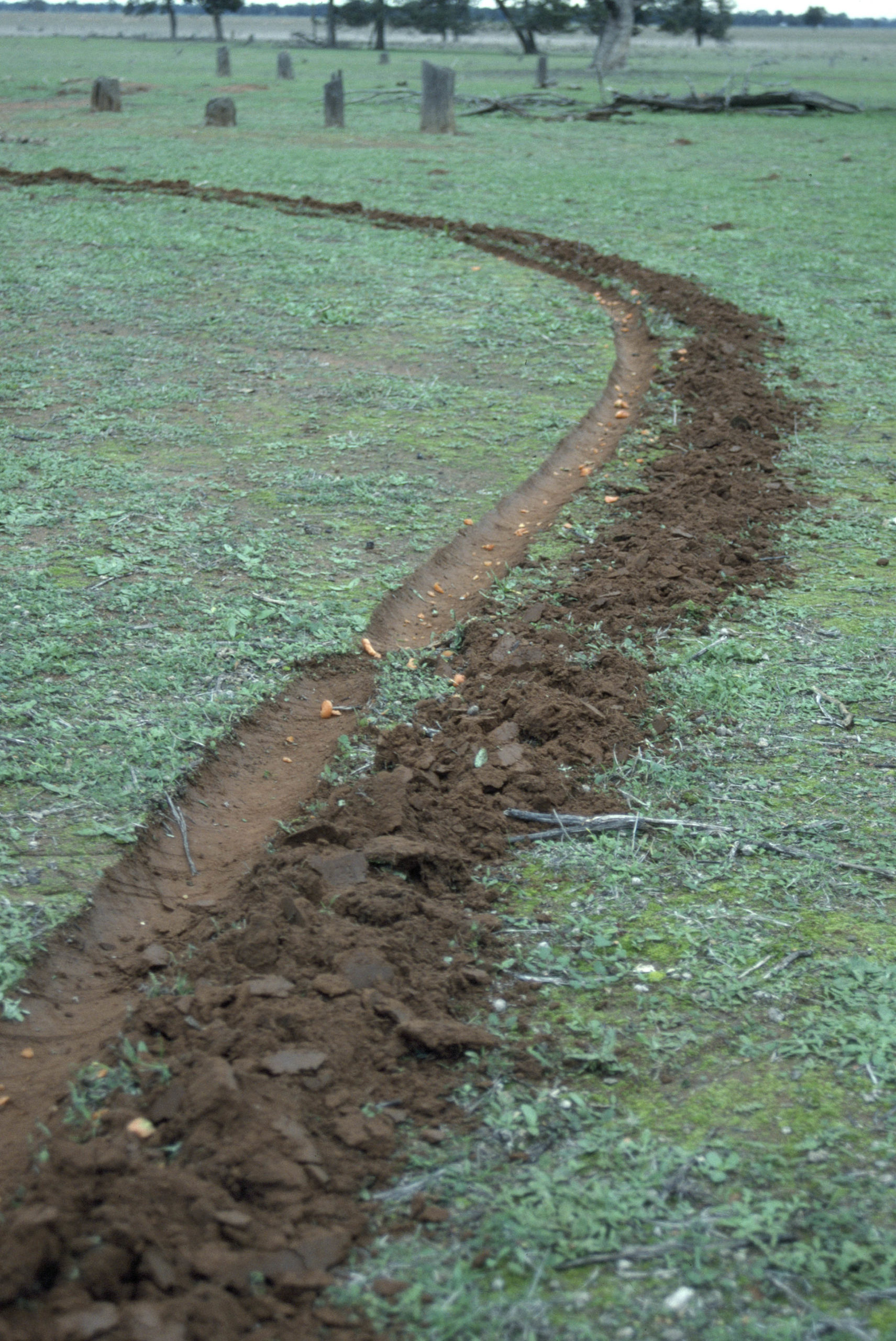 NATSOP-RAB001 National Standard Operating Procedure: Ground baiting of ...