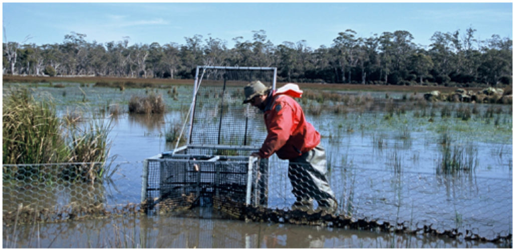 Containment as a method for carp control - PestSmart