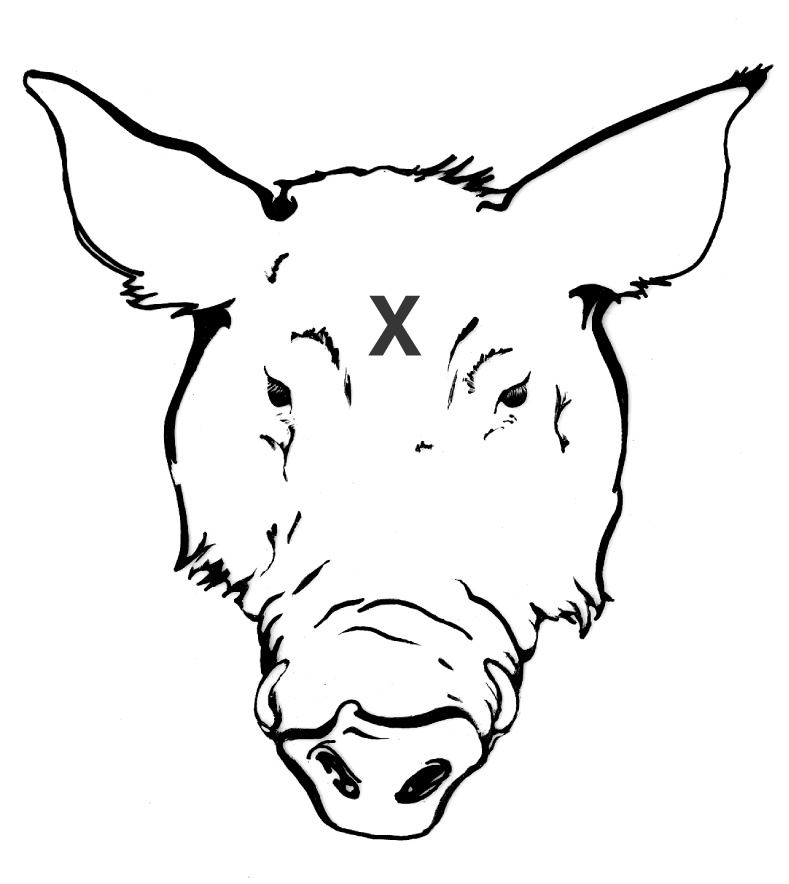 NATSOP-PIG002 National Standard Operating Procedure: Aerial shooting of ...