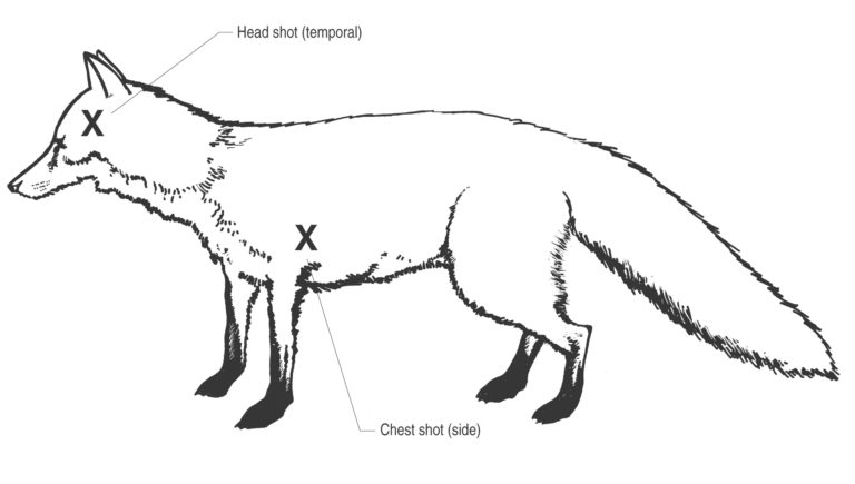 NATSOP-FOX006 National Standard Operating Procedure: Trapping of foxes ...
