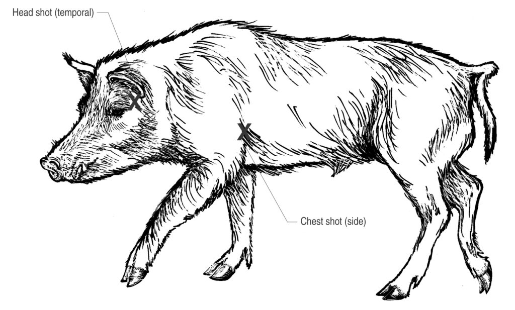 NATSOP-PIG002 National Standard Operating Procedure: Aerial shooting of ...