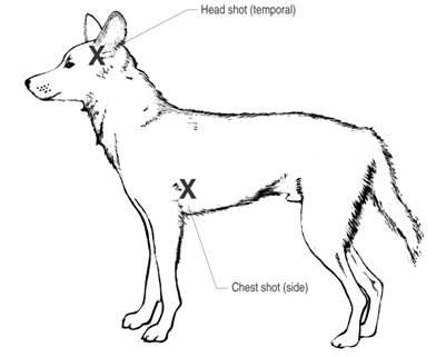 NATSOP-DOG003 National Standard Operating Procedure: Ground shooting of ...