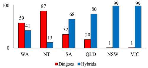Distribution of pure dingoes and dingo-dog hybrids in Australia - PestSmart
