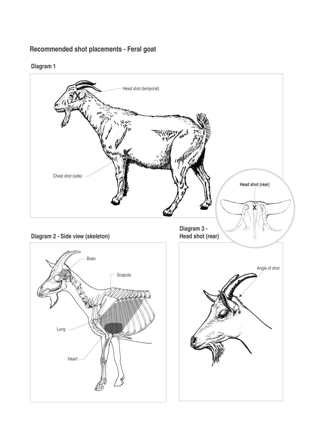 NATSOP-GOA001 National Standard Operating Procedure: Ground shooting of ...