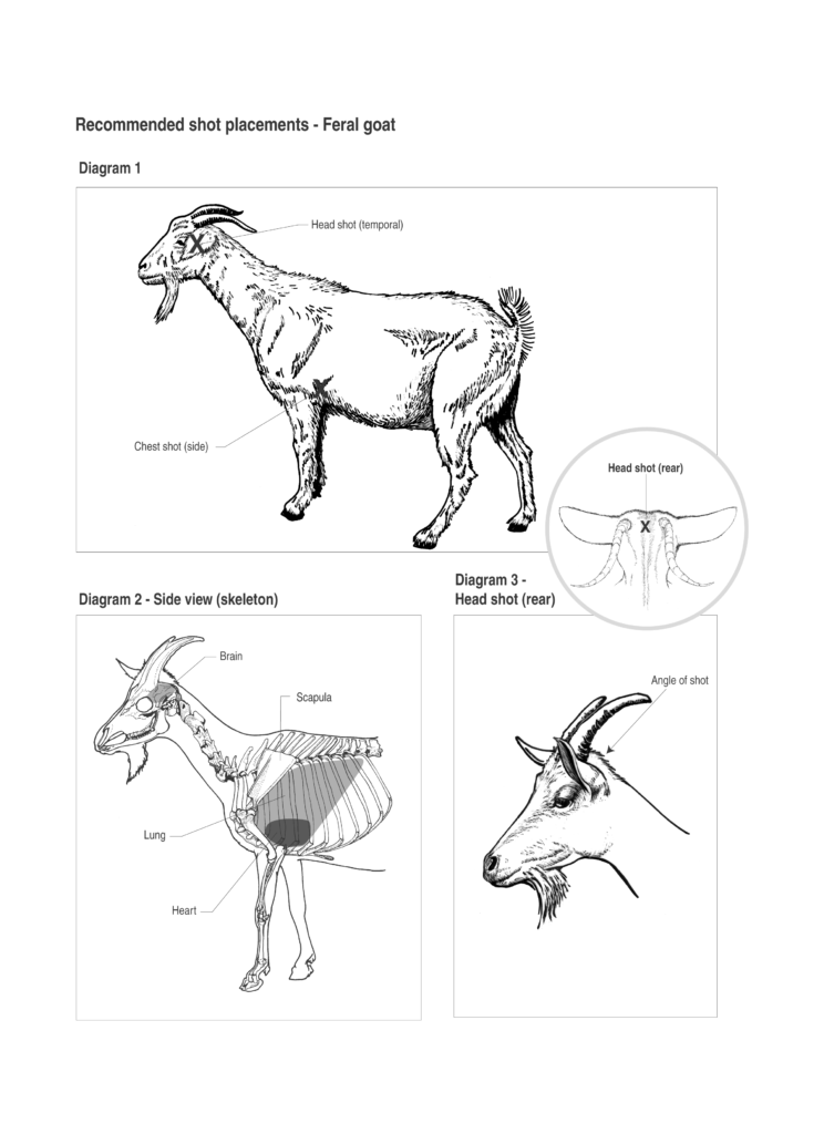 NATSOP-GOA001 National Standard Operating Procedure: Ground shooting of ...