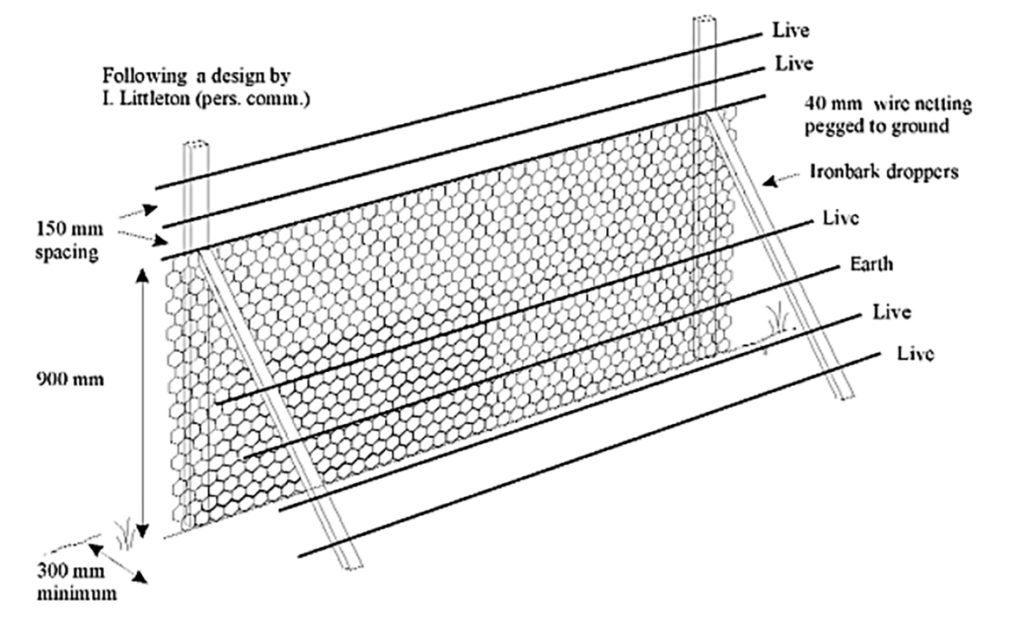 Fencing for fox control - PestSmart