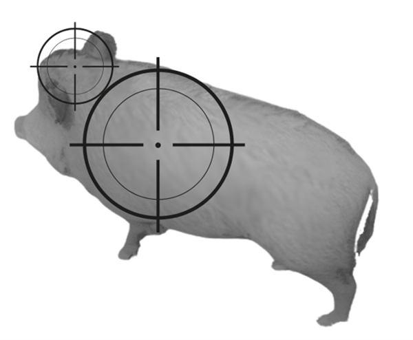 NATSOP-PIG002 National Standard Operating Procedure: Aerial Shooting of ...
