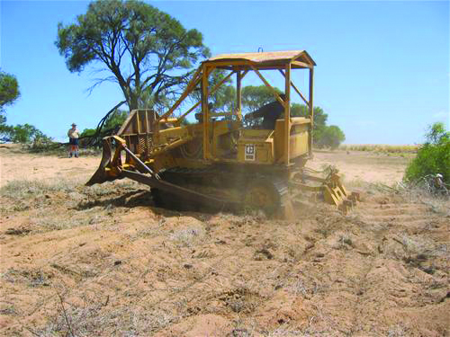 Overview of rabbit warren and harbour destruction - PestSmart