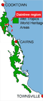 Feral pig management in tropical rainforests of Queensland - PestSmart