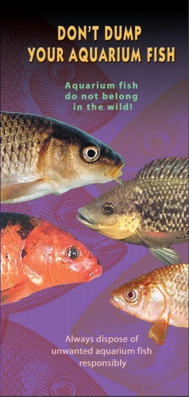 The importance of public consultation for pest fish management - PestSmart