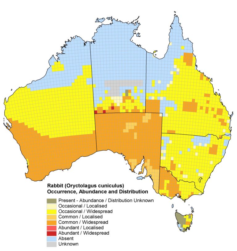 Rabbit biology, ecology and distribution - PestSmart