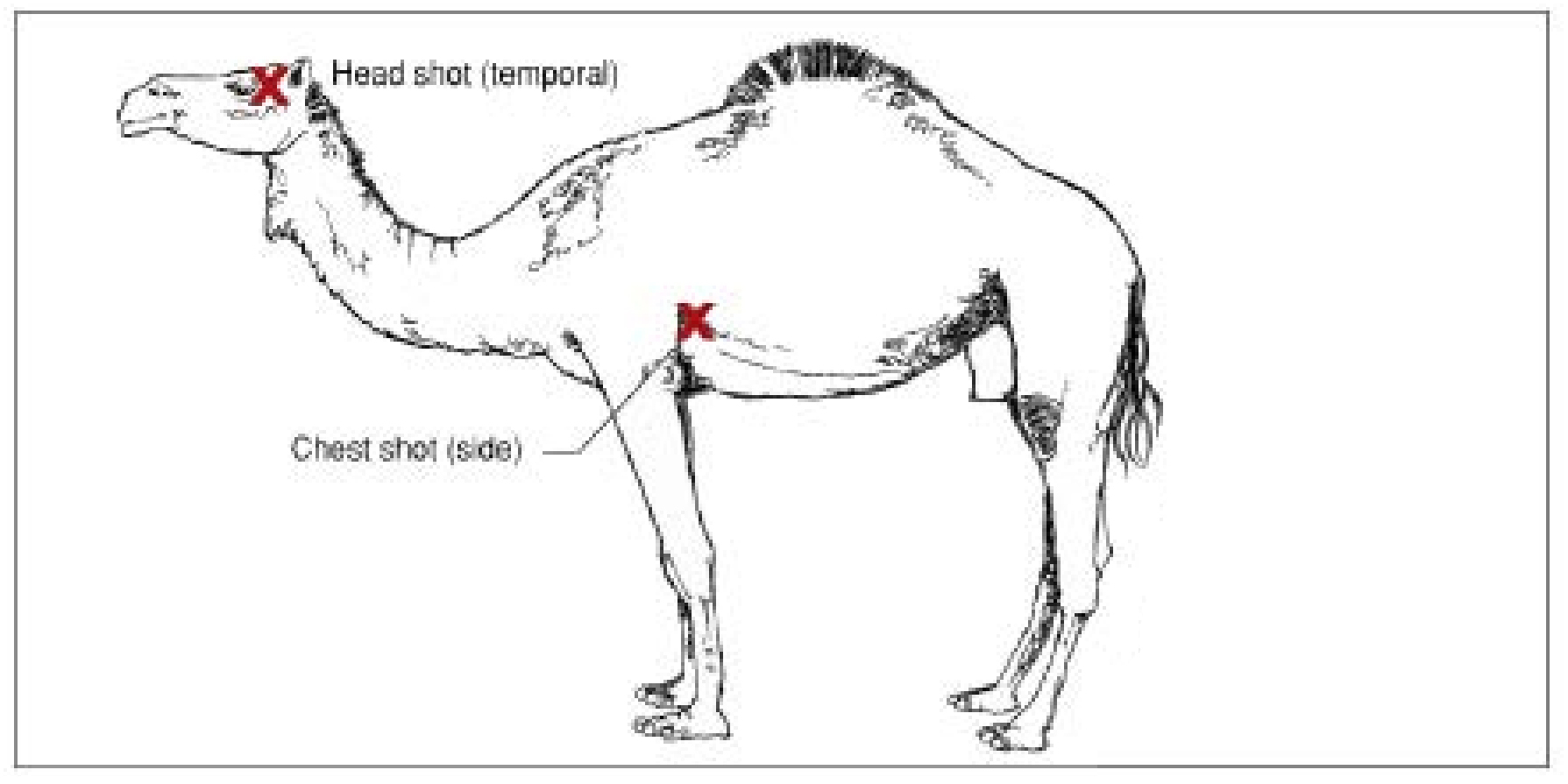 NATSOP-CAM001 National Standard Operating Procedure: Ground shooting of ...