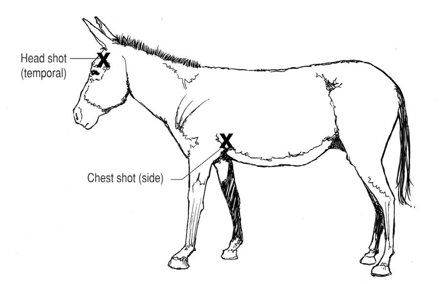 NATSOP-DON002 National Standard Operating Procedure: Aerial shooting of ...