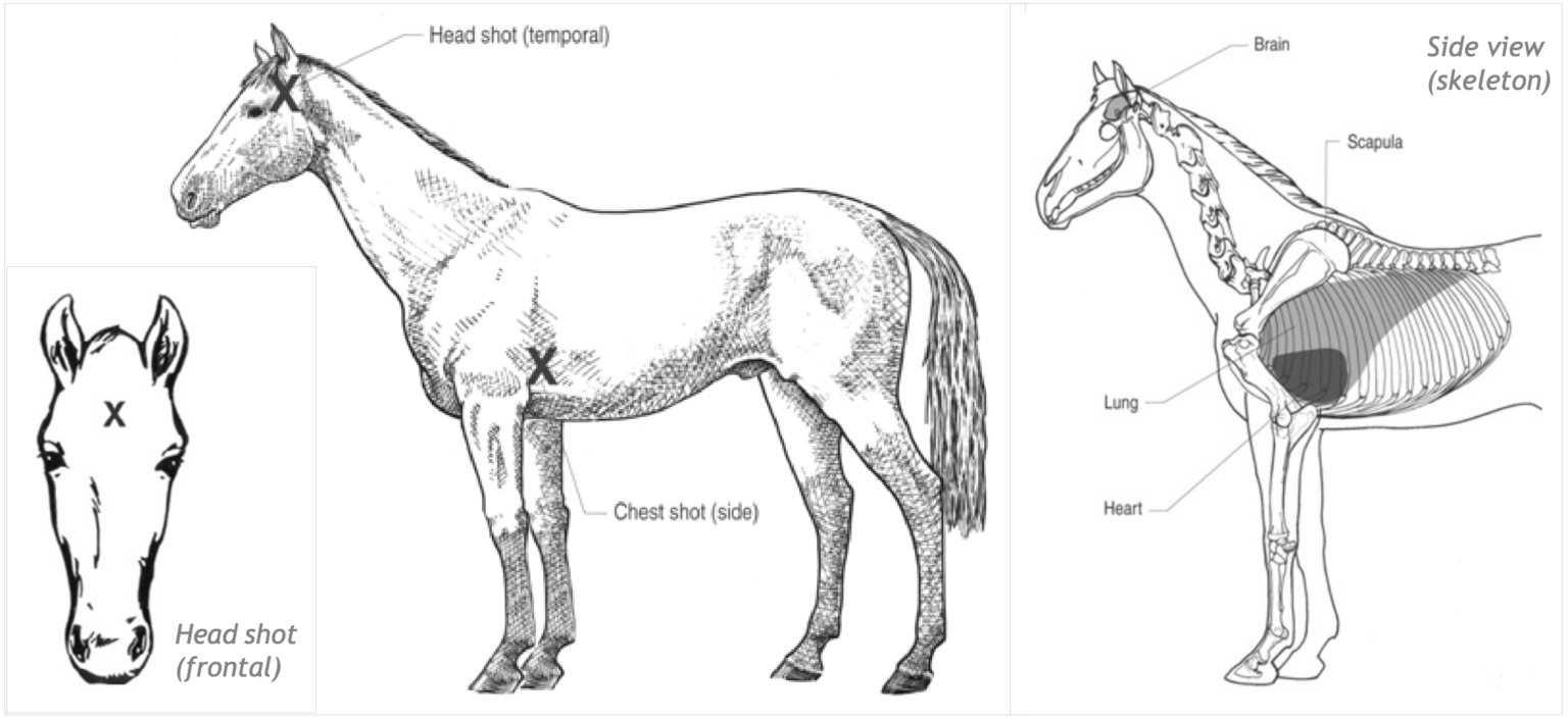 NATSOP-HOR001 National Standard Operating Procedure: Ground shooting of ...