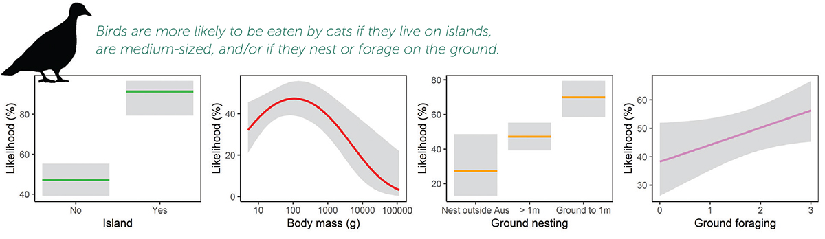 Impact of feral cats in Australia - PestSmart