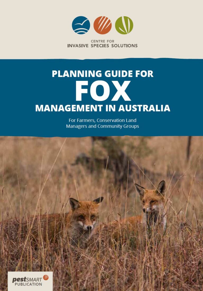 European foxes - PestSmart