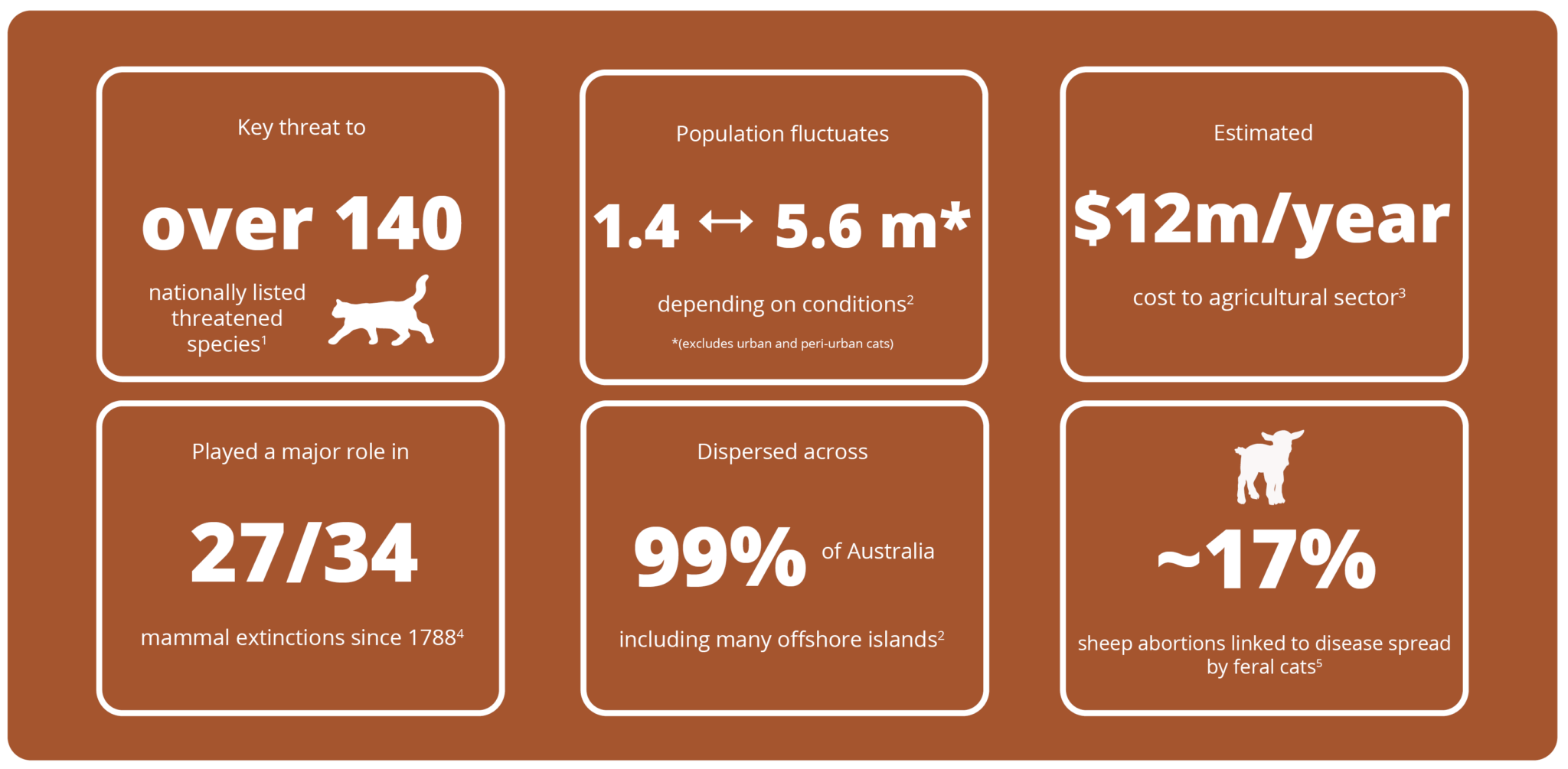Feral cats - PestSmart