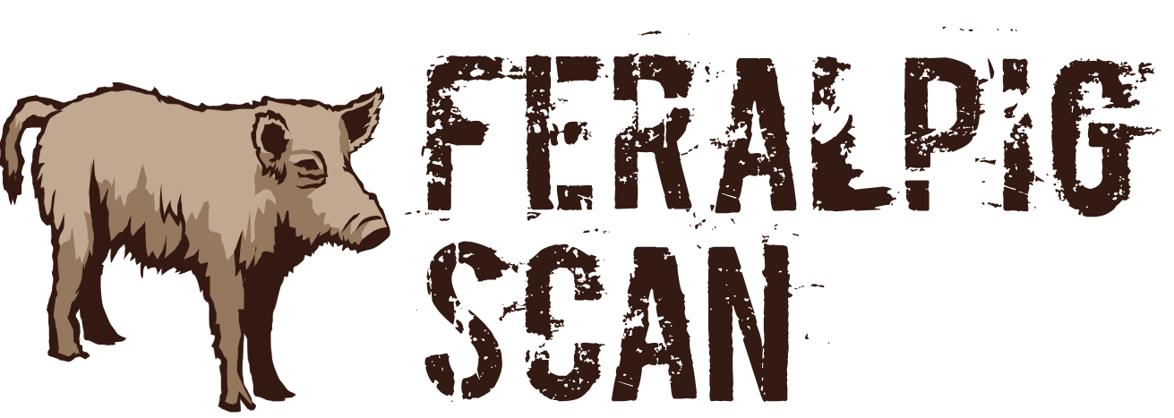 Feral pigs - PestSmart