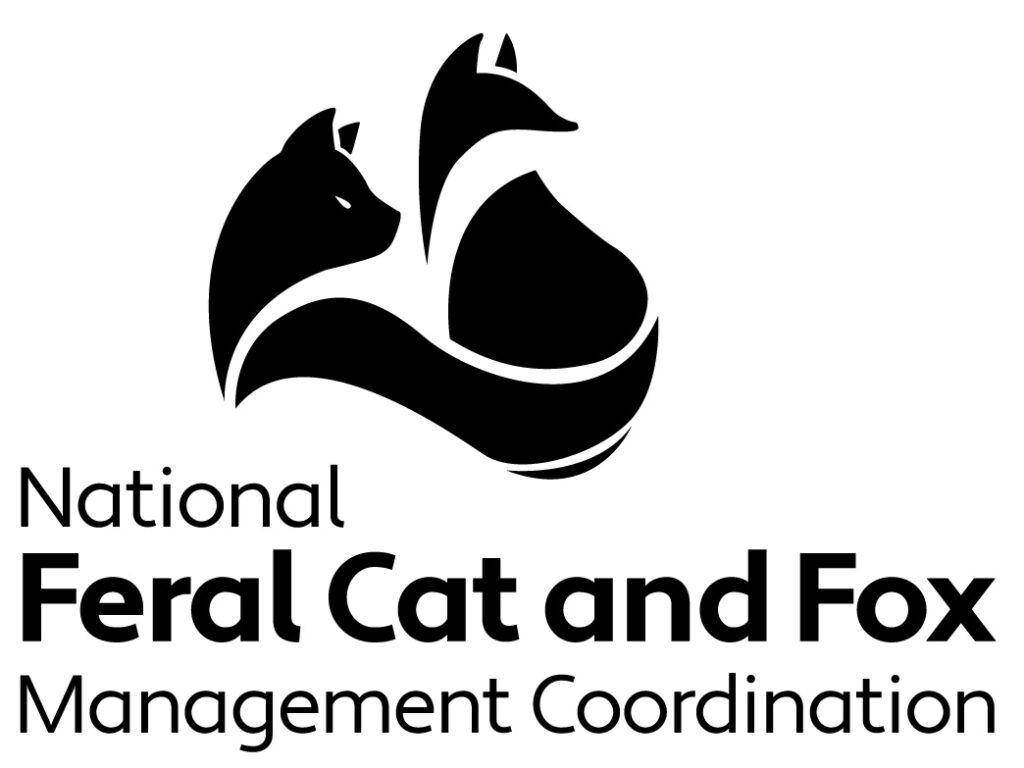 Feral cats - PestSmart